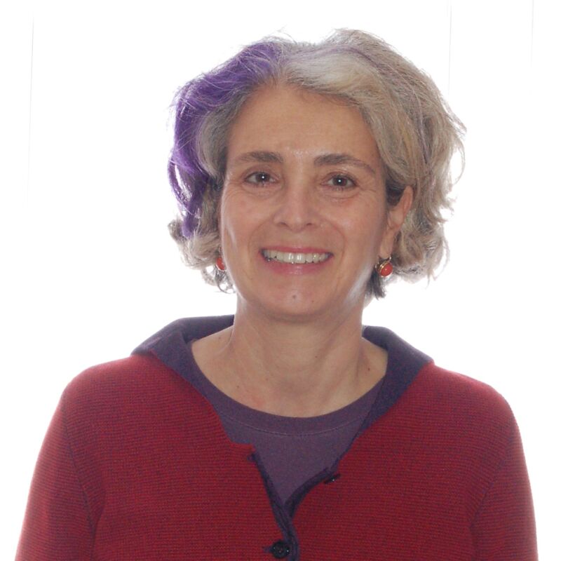 Board of Directors – Centro Rossi-Doria